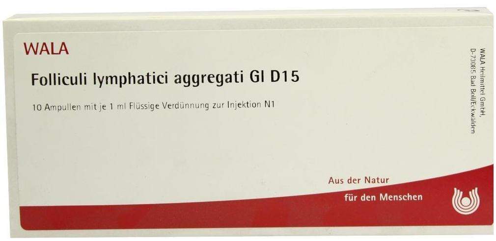 Folliculi Lymph. Aggr. Gl D 15 Ampullen kaufen | Volksversand ...