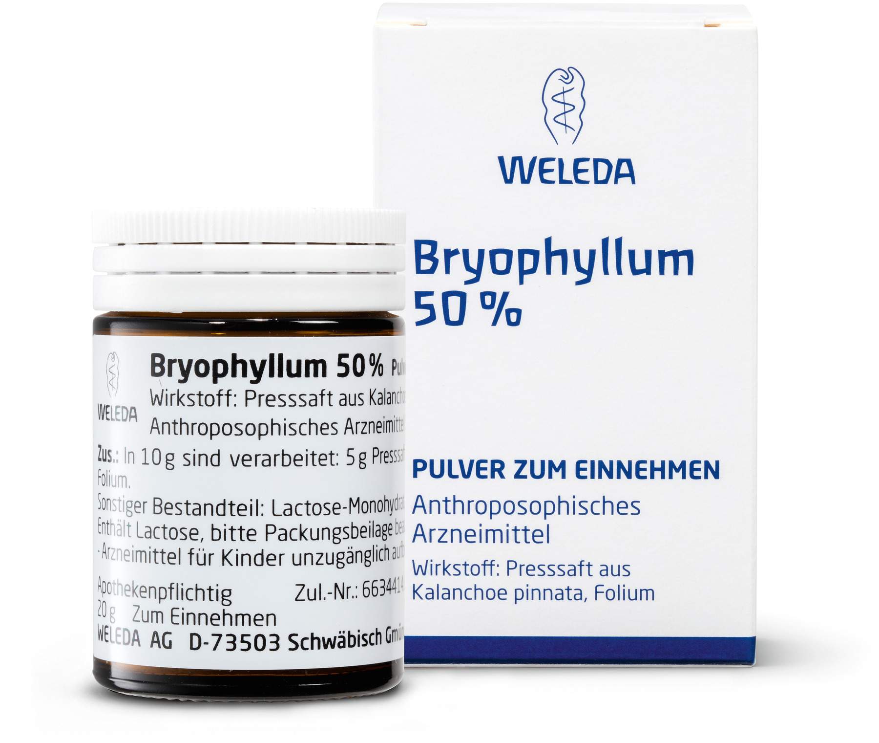 Weleda Bryophyllum 50% 50 G Pulver kaufen | Volksversand Versandapotheke