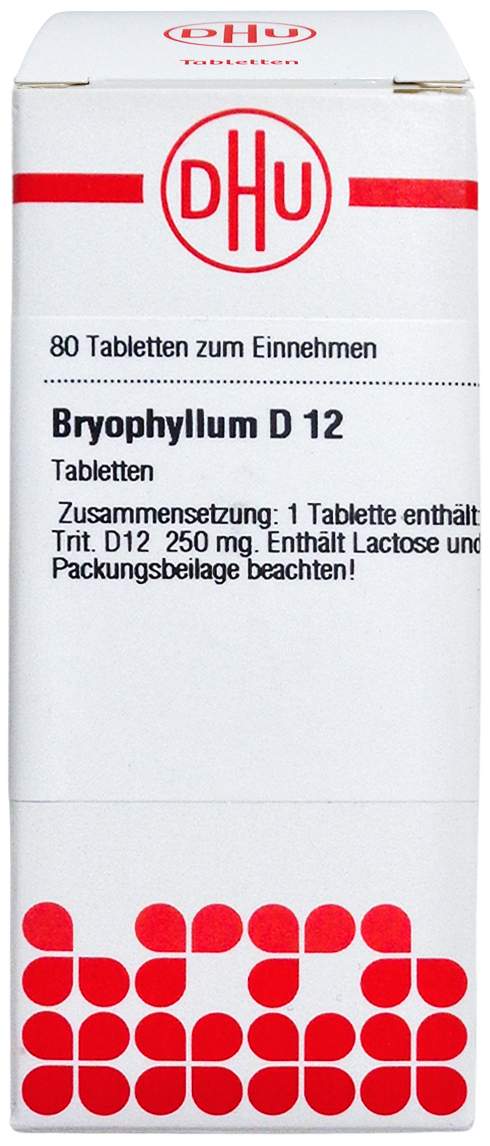 DHU Bryophyllum D12 Tabletten 80 Stück kaufen | Volksversand ...
