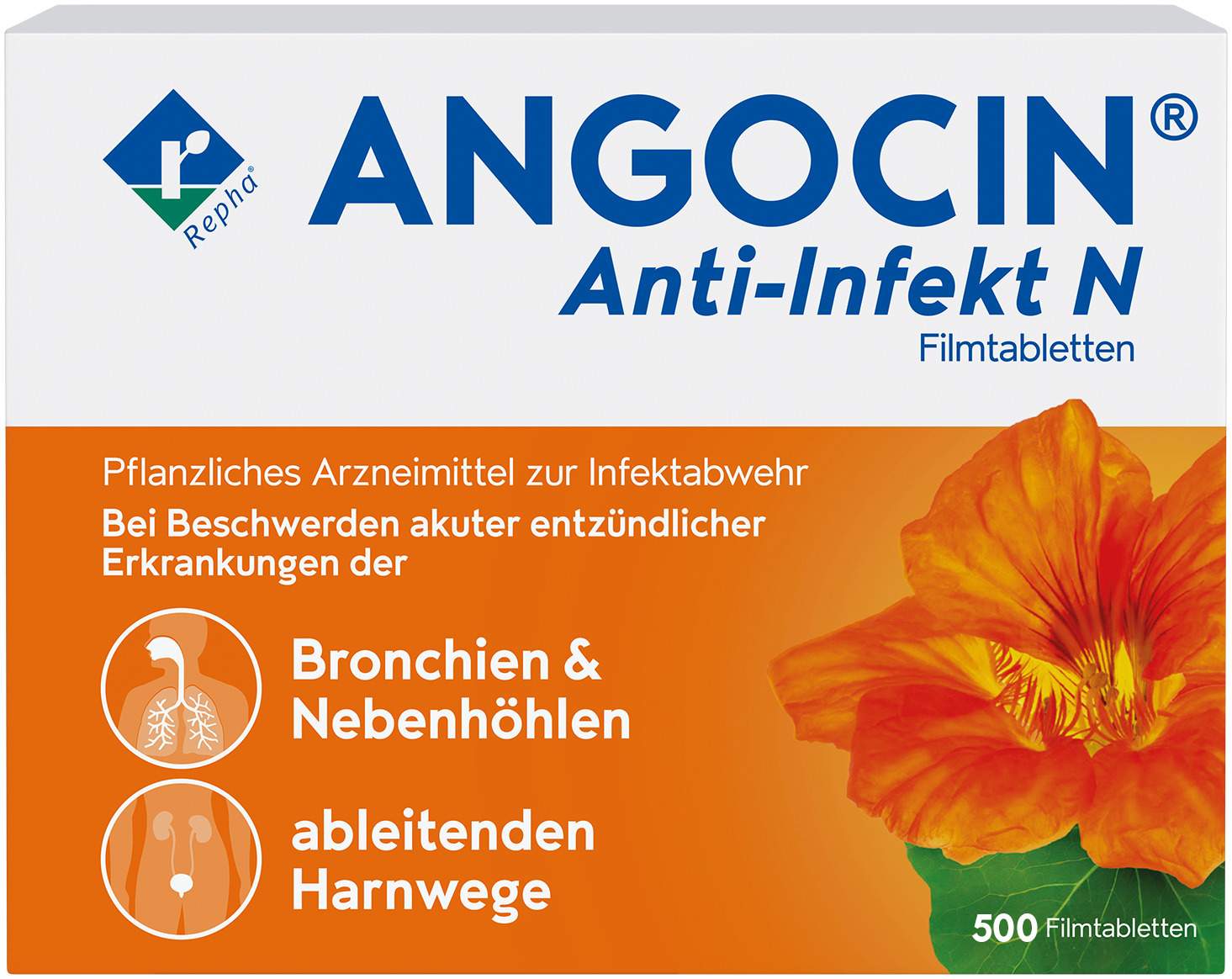 Angocin Anti Infekt N 500 Filmtabletten kaufen | Volksversand ...
