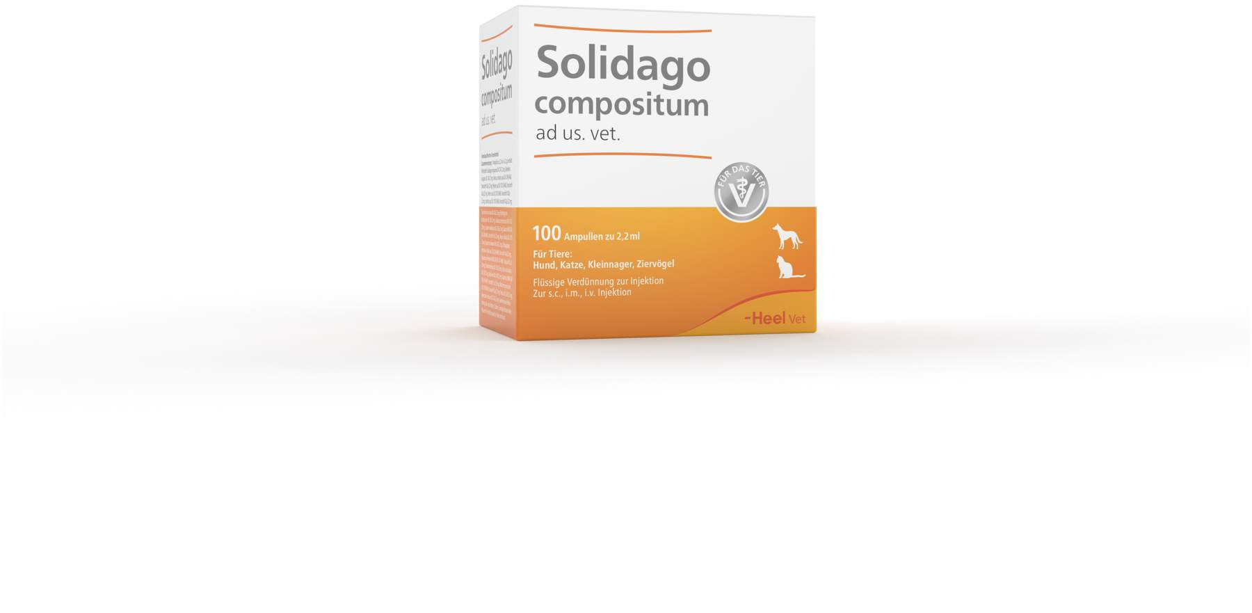 Solidago Compositum 100 Ampullen vet. kaufen | Volksversand Versandapotheke