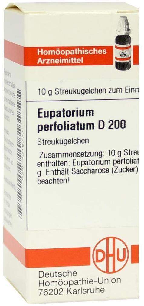 Dhu Eupatorium Perfoliatum D200 Globuli kaufen | Volksversand ...