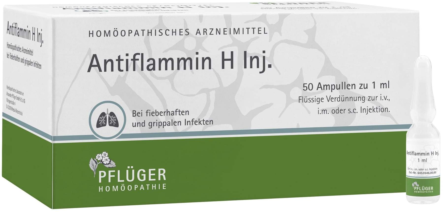 Antiflammin H Inj. 50 X 1 ml Ampullen kaufen | Volksversand Versandapotheke