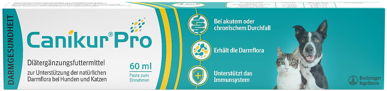 Canikur Pro vet. 60 ml Paste kaufen | Volksversand Versandapotheke